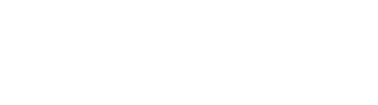 Meet the DSI Team
